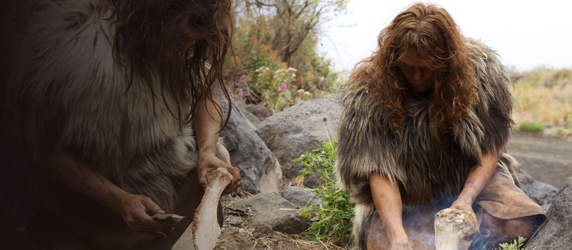 PBS Distribution | Decoding Neanderthals